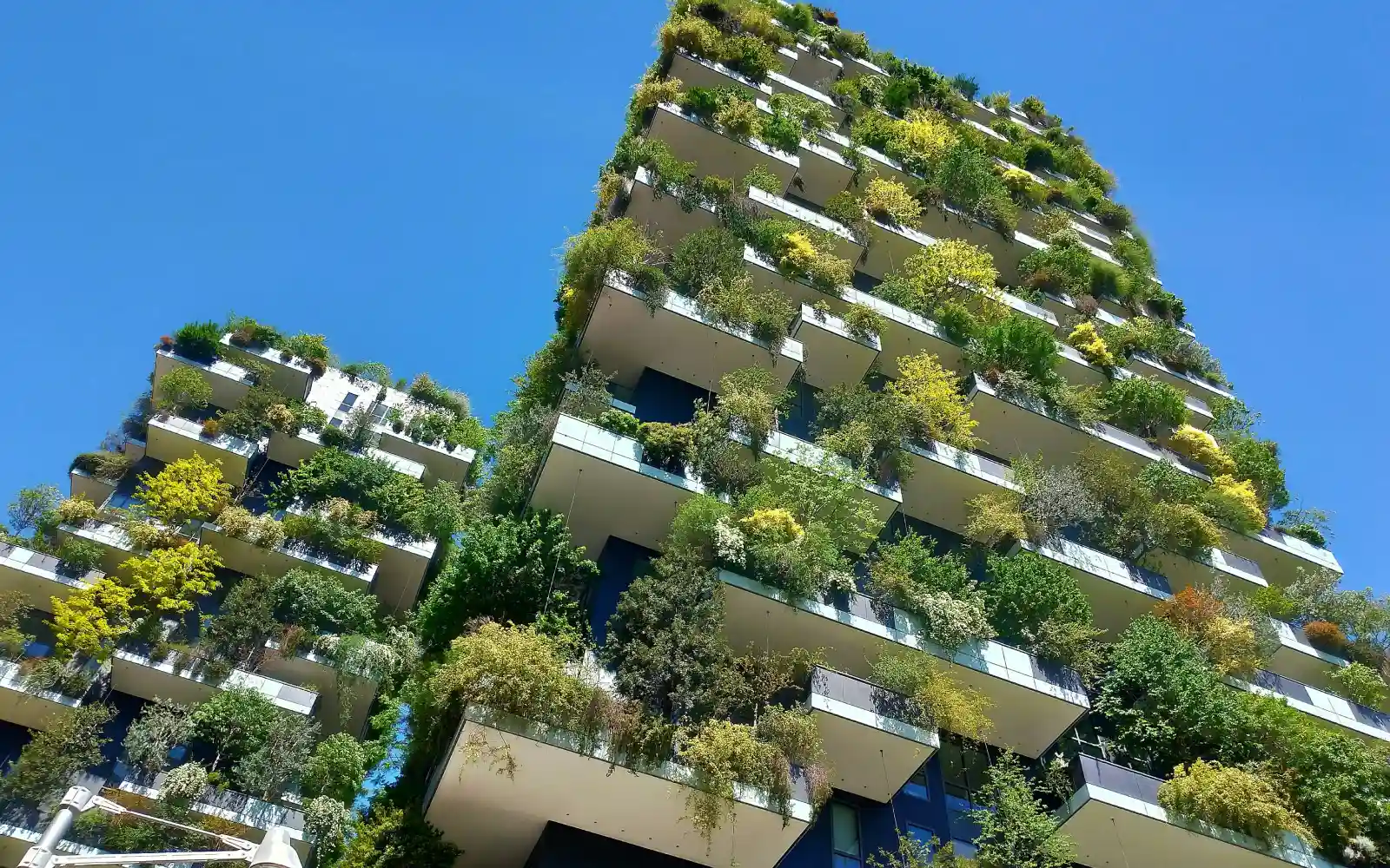 You Made a Commitment to Sustainability — Now What? | Verse